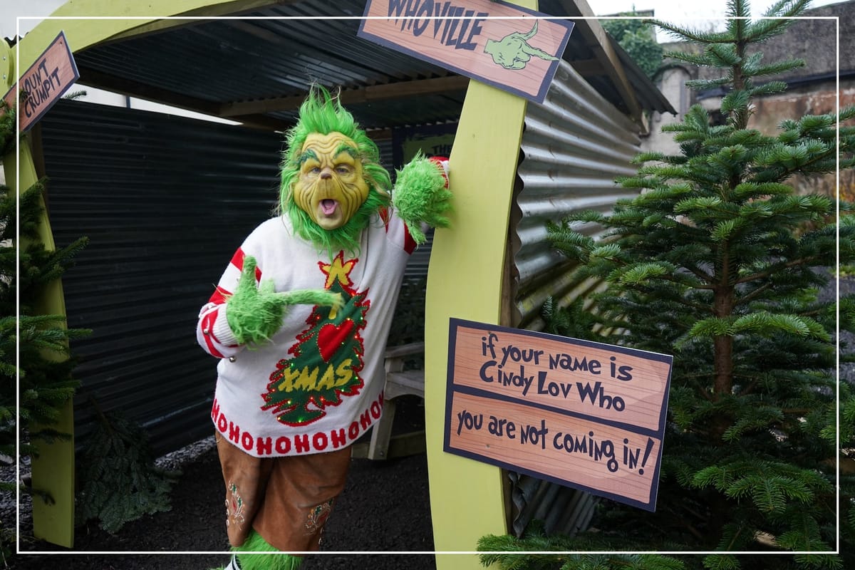 8 Reasons The Grinch Was Right, Ranked